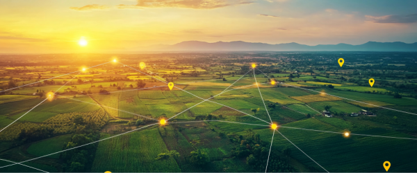 Blogue - Santé animale Canada